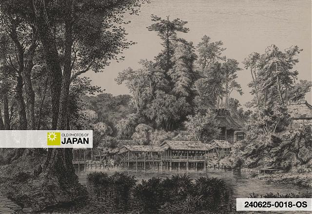 Tokyo 1860 • Shinjuku’s Lost Paradise (3) | OLD PHOTOS of JAPAN
