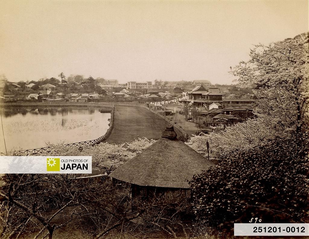 Tokyo 1880s • The Forgotten Horse Races of Ueno Park (1) | OLD PHOTOS ...